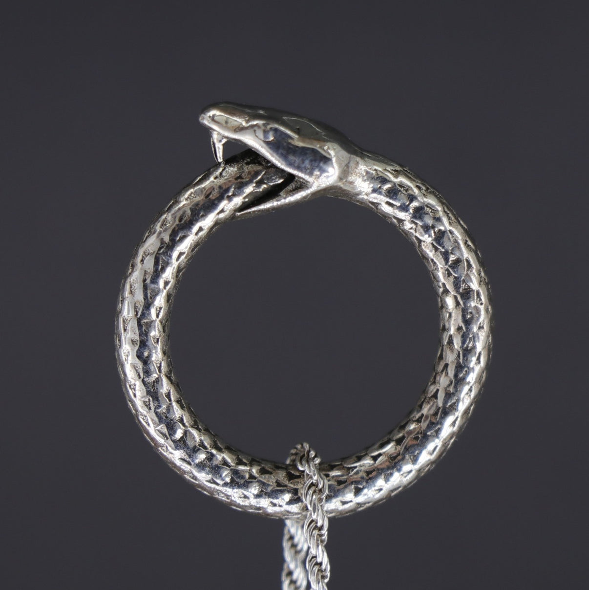 Ouroboros – Self-Eating Snake Necklace 925 Silver – Moko Art Design